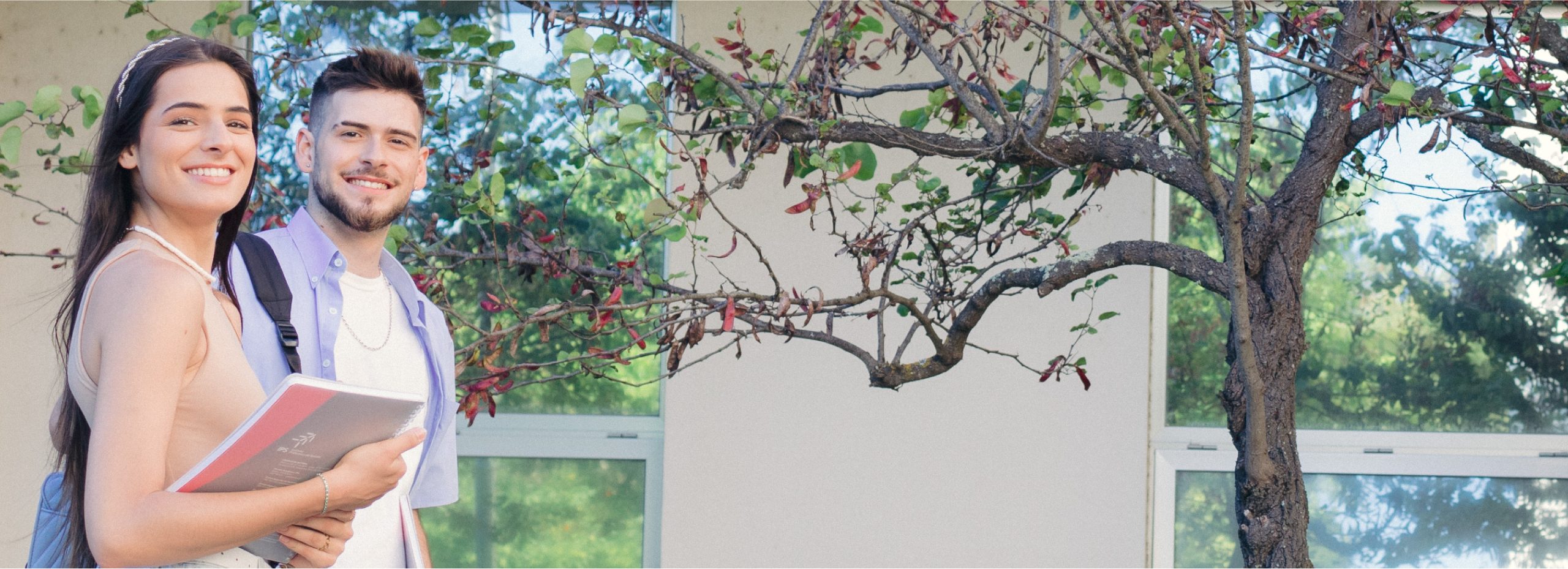 Escola Superior de Saúde – ESS/IPS – Uma instituição de ensino superior ...